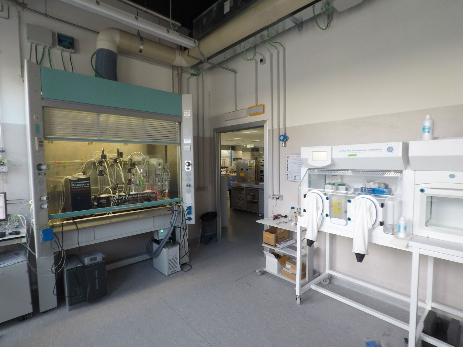 co2circlelab - Bioconversion of C1 gas streams into commodities