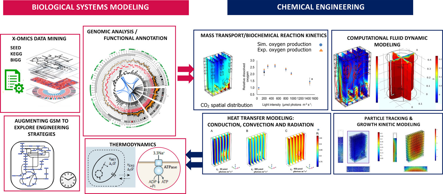 co2circlelab - Bioconversion of C1 gas streams into commodities